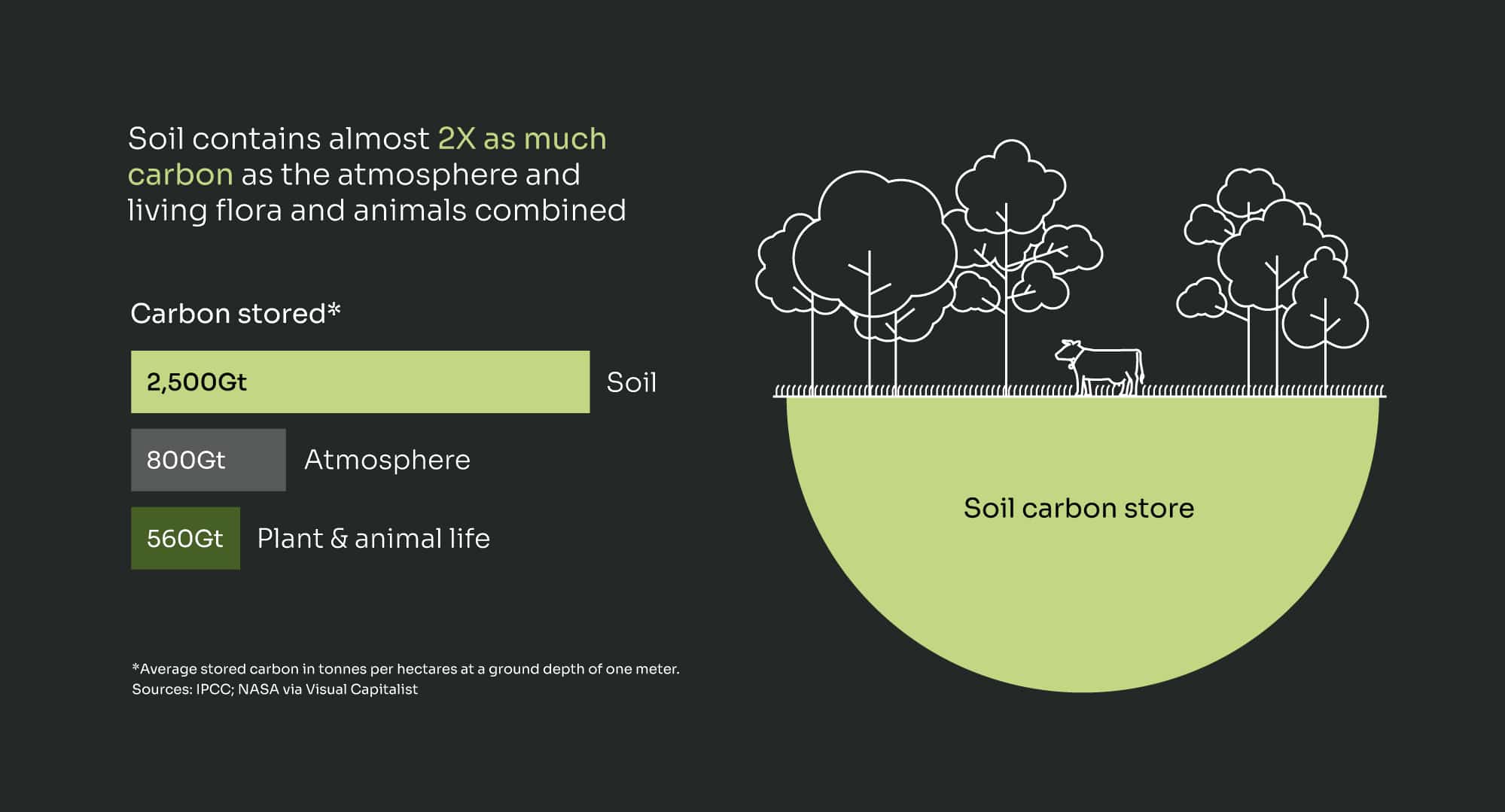Why Soil Carbon Works. - Carbon Fix
