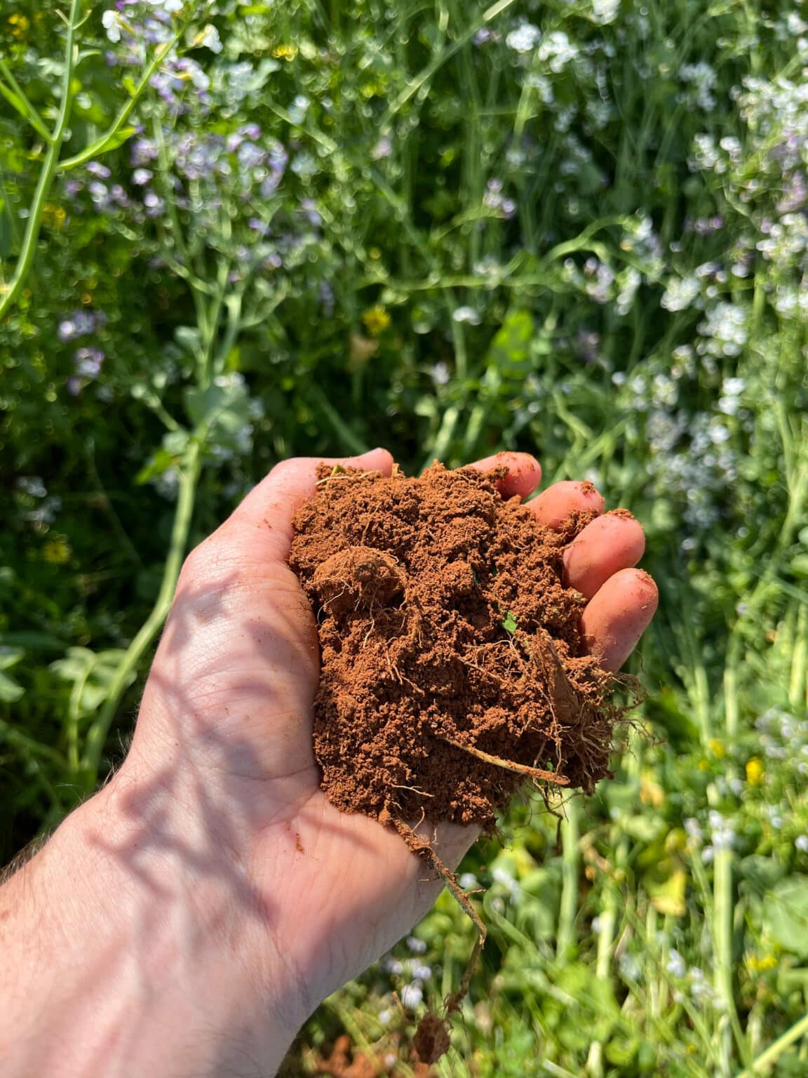 Information - Carbon Fix